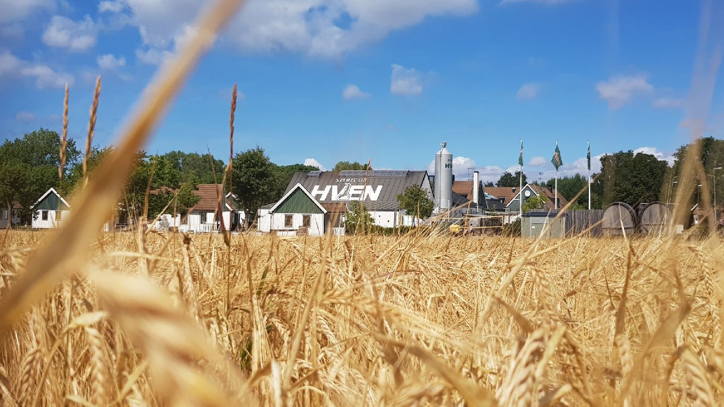 Press Release - Spirit of Hven